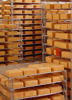 Maroilles AOP en Thiérache, Le plus fin des fromages forts